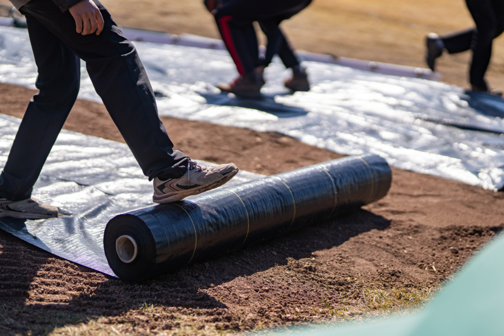 Weed Guard » King Swings