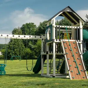 The Eclipse Swing Set » King Swings